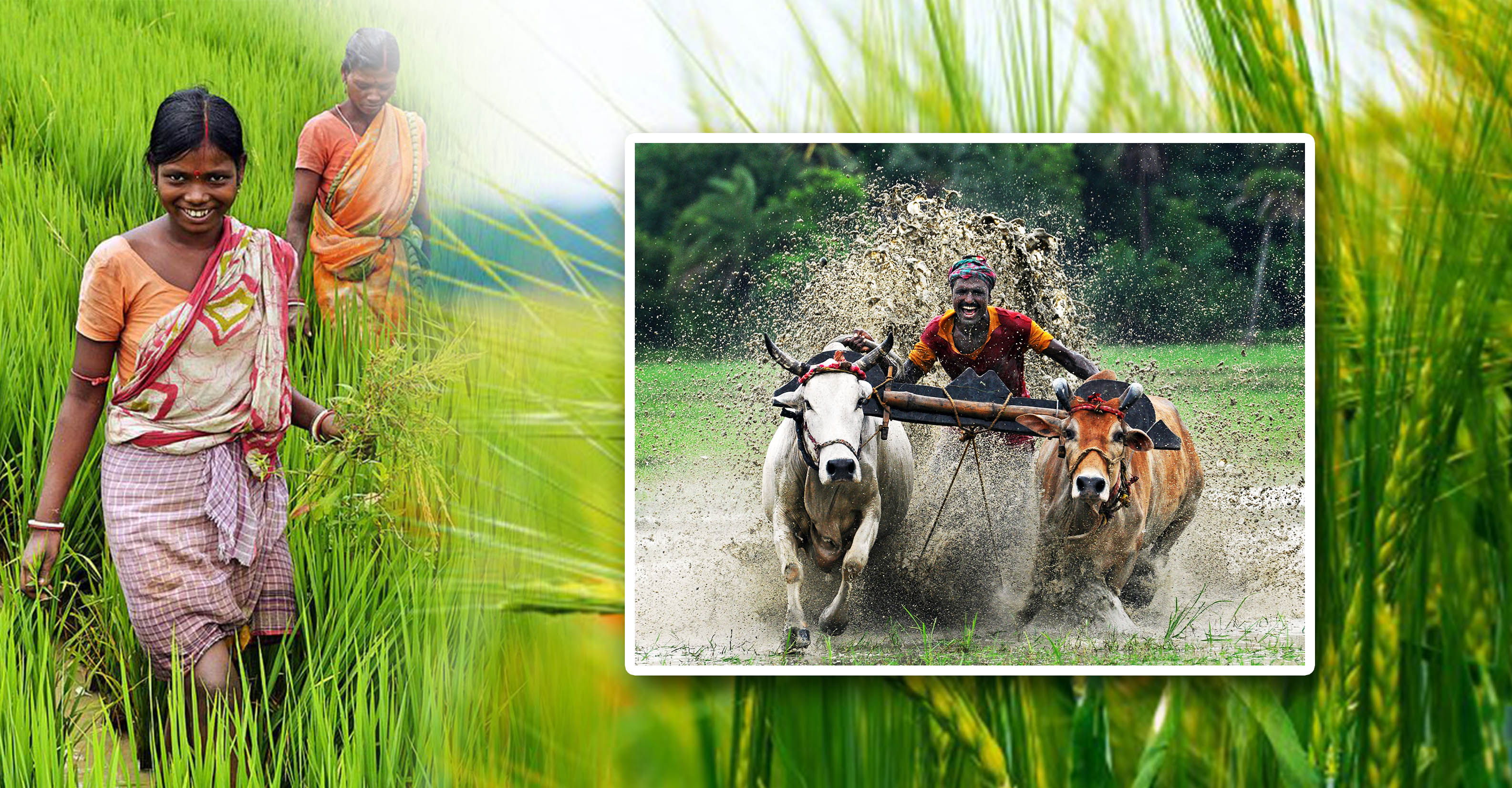 Bengal Govt to take steps to encourage cultivation on fallow land – All ...