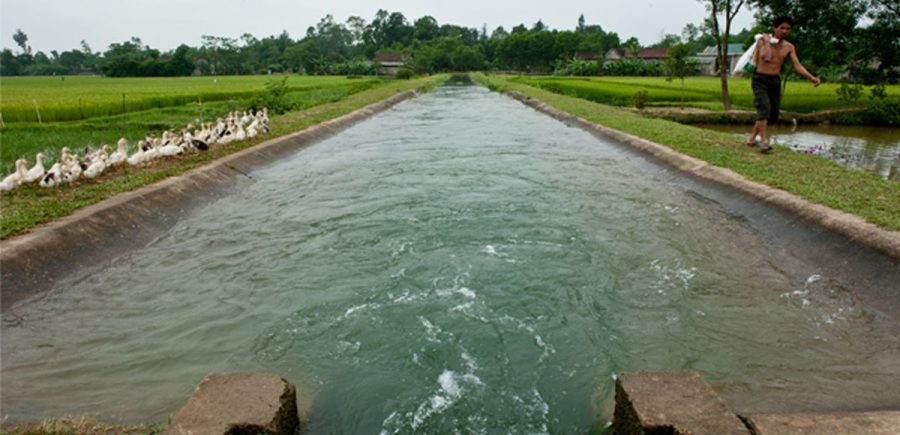 Massive improvement in irrigation infrastructure in Bangla – All India ...