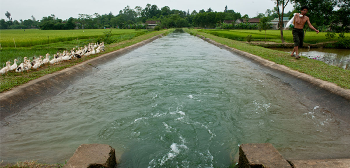 Massive improvement in irrigation infrastructure in Bangla – All India ...